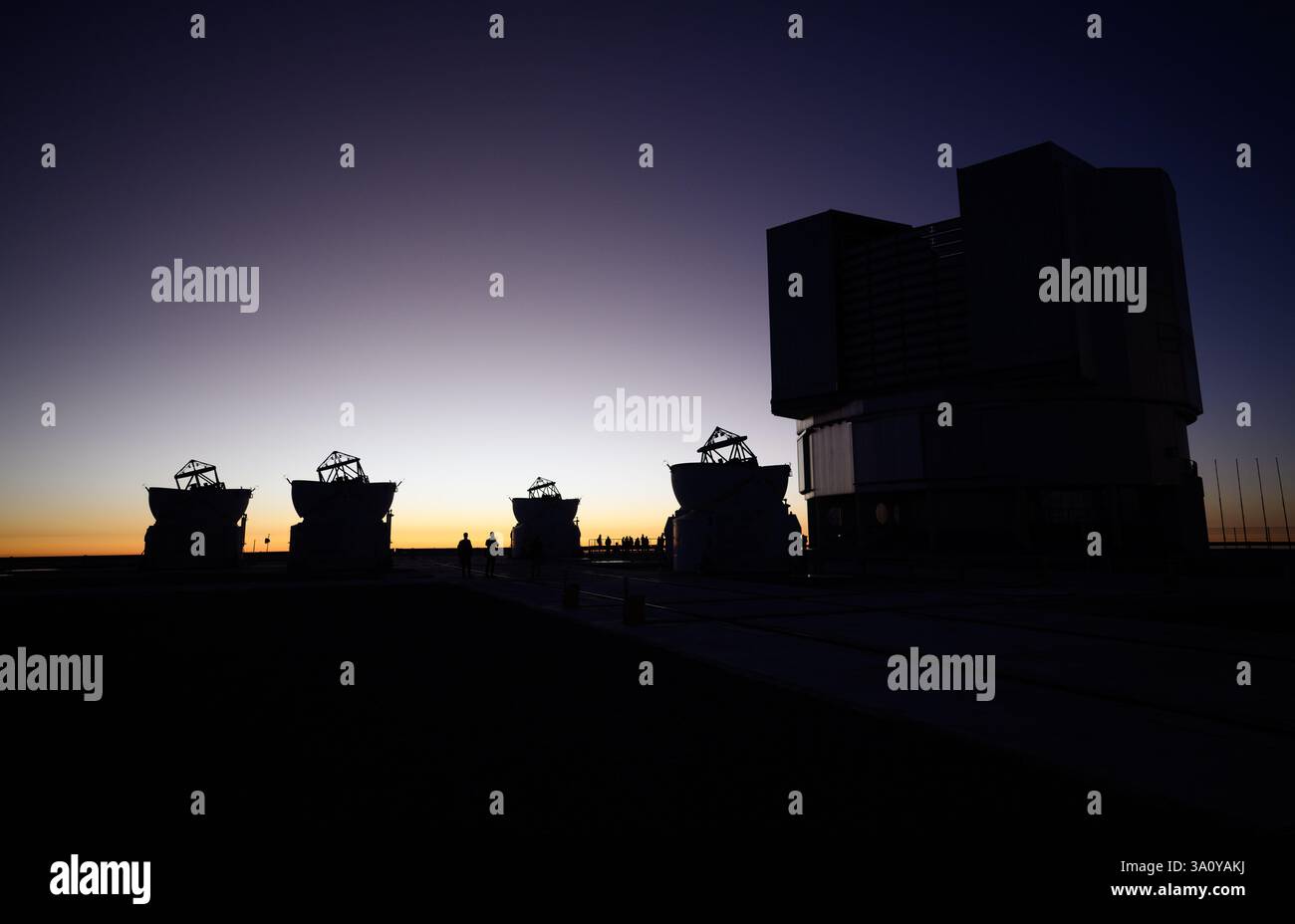 Paranal, Chile. 05th Mar, 2025. The delegation of Federal President ...