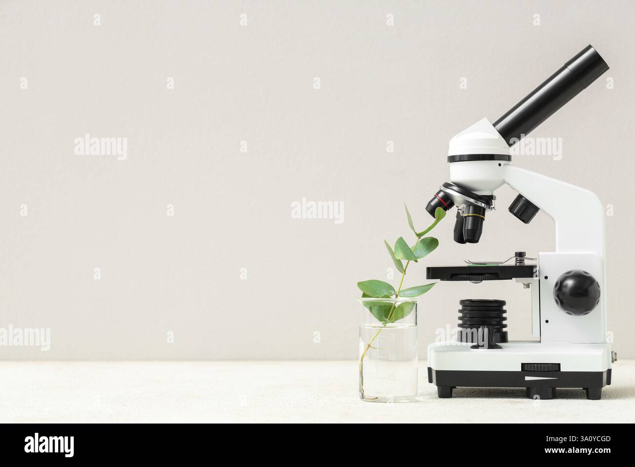 Laboratory flask with plant and microscope on grunge beige background ...