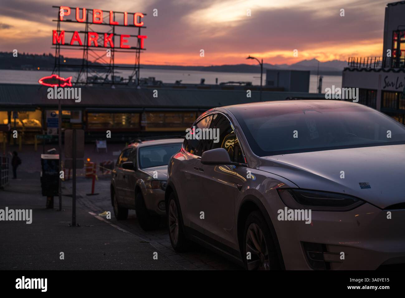 Seattle, USA. 5th Mar 2025. Anti - Elon Musk stickers seen on a Tesla ...