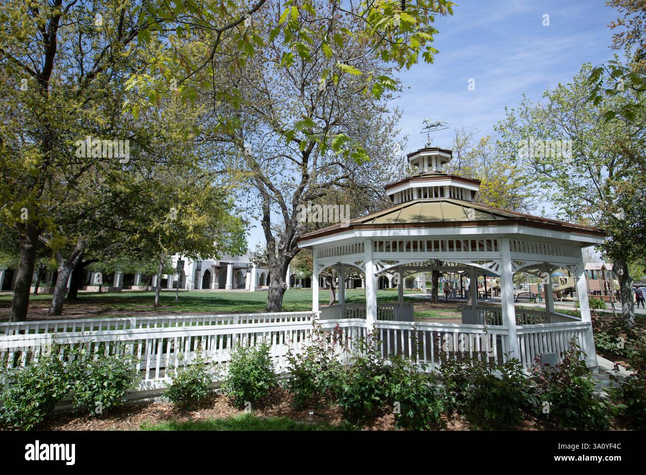 Afternoon sun shines in the beautiful central park of downtown ...