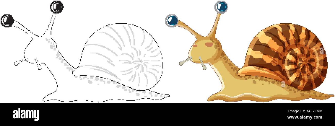 Colorful snail illustration with matching black and white outline ...