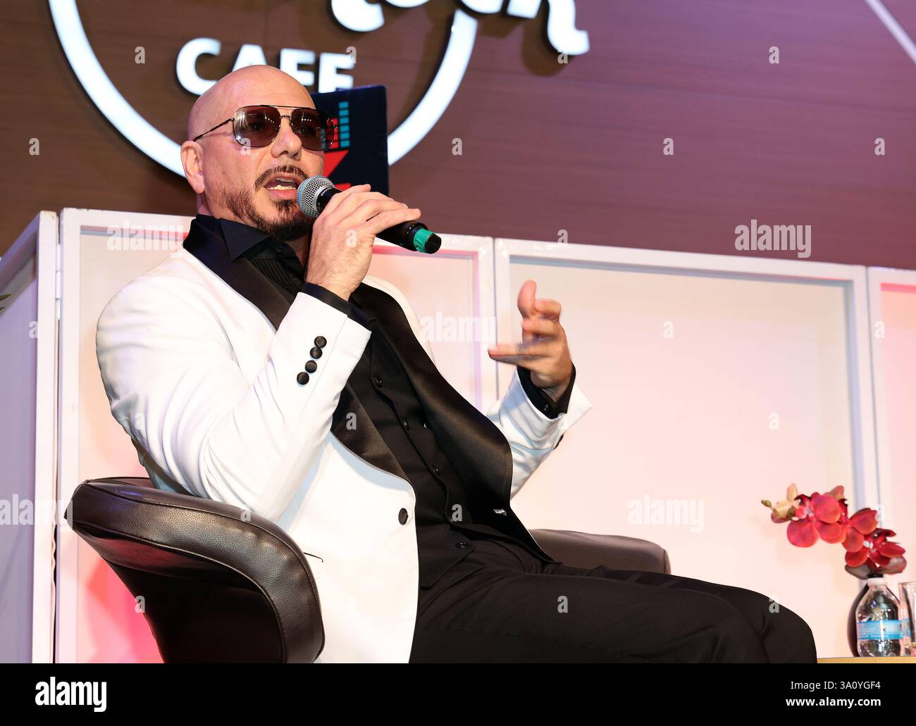 HOLLYWOOD, FLORIDA - MARCH 05: Armando Christian Perez aka as Pitbull ...