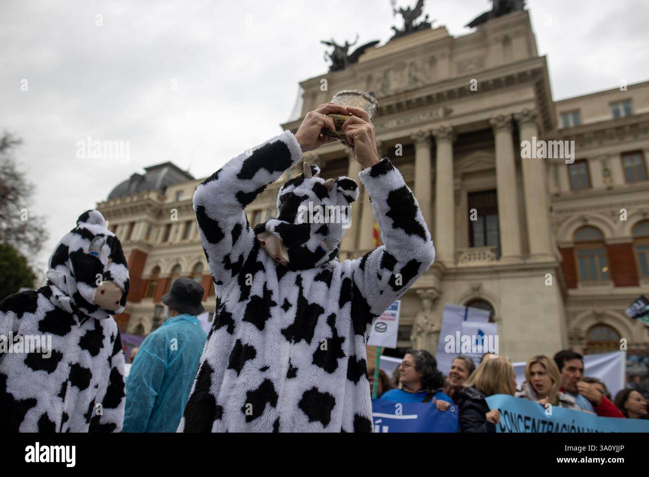 A man dressed as a cow protests during a demonstration of veterinary ...