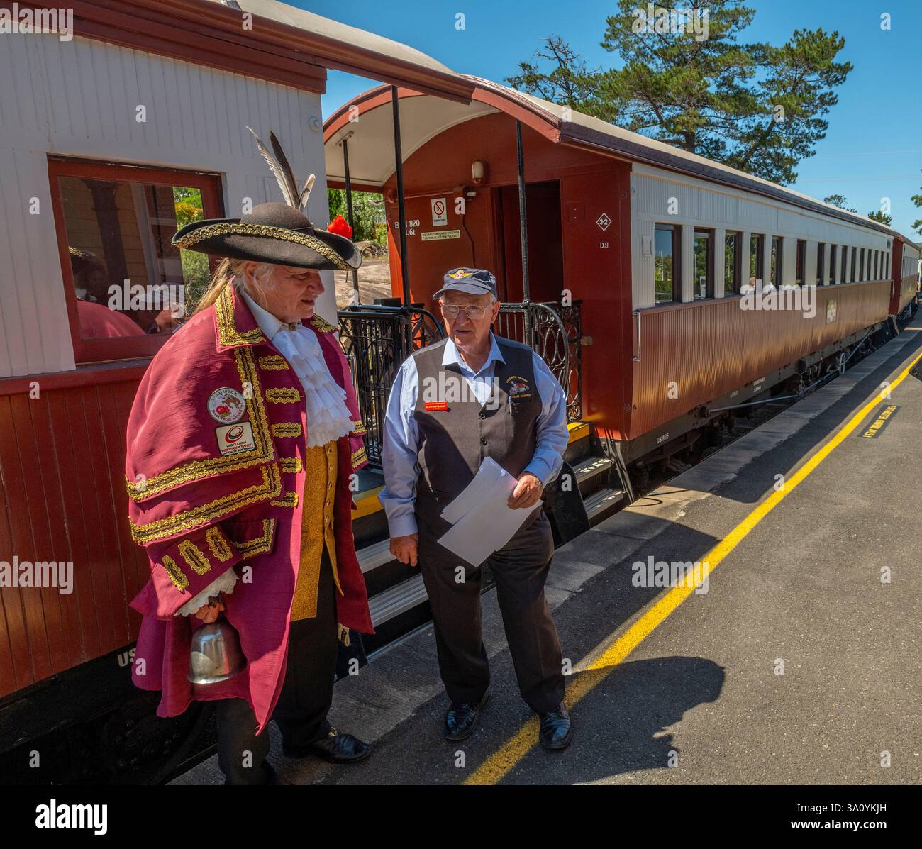 Downs Explorer offers a range of unique heritage steam and diesel rail ...