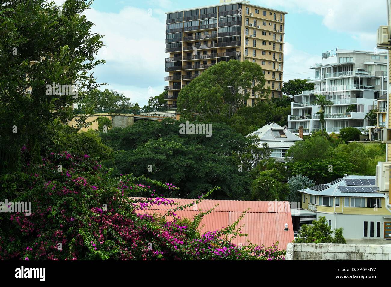 Brisbane, Australia. 18th Feb, 2025. A general view of the suburb of ...