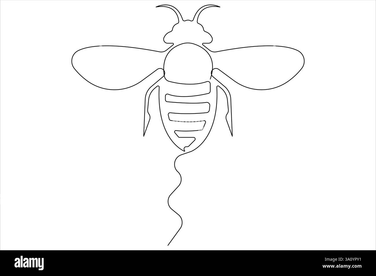 Continuous one line art drawing of honey bee art concept illustration ...