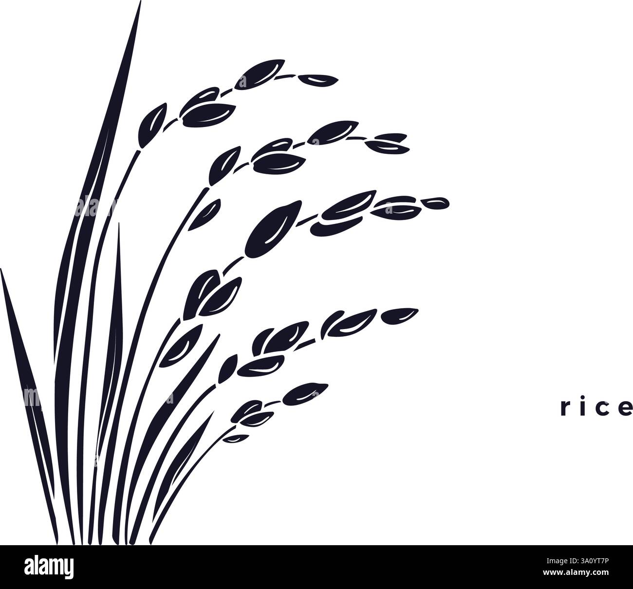 Rice, grain. Vector symbol for package design on white background ...