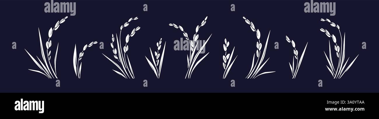 Rice plant, grains set. Traditional farm organic food. Elements for ...