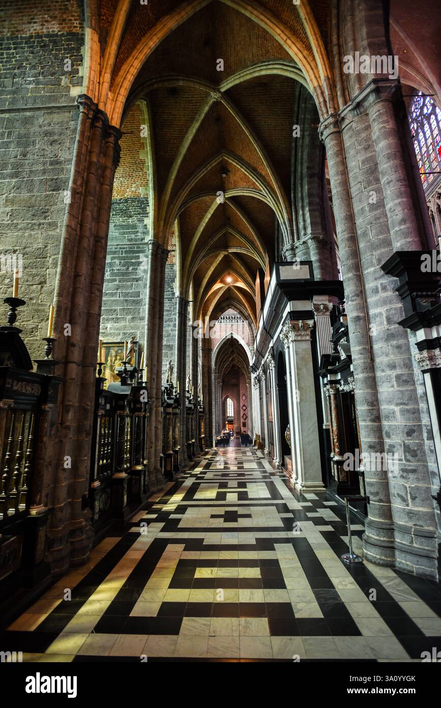Vaulted Arches and Checkered Marble Floor in Saint Bavo's Cathedral ...