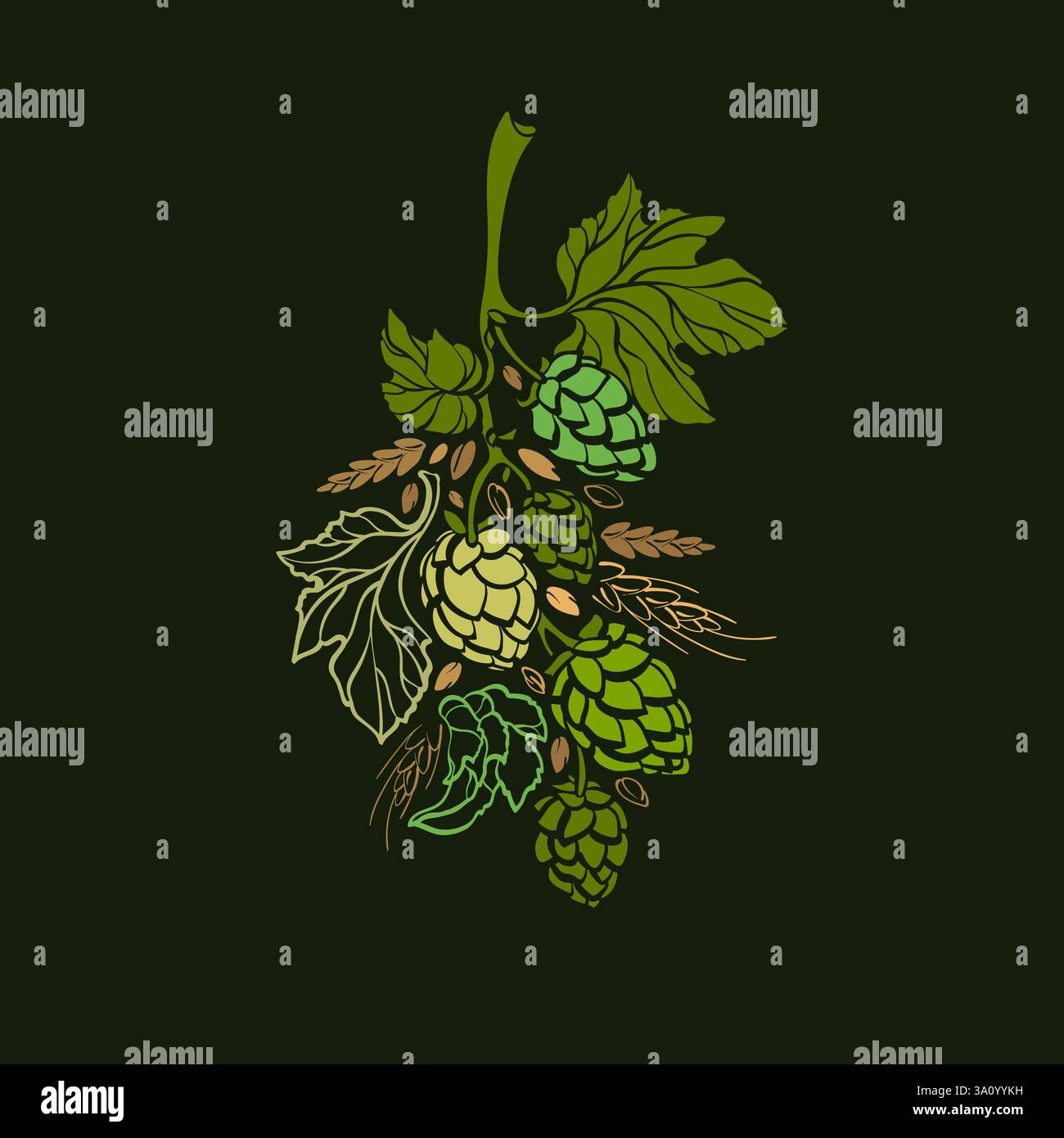Hop cone, malt label for beer pub emblem, restaurant menu, brewery ...