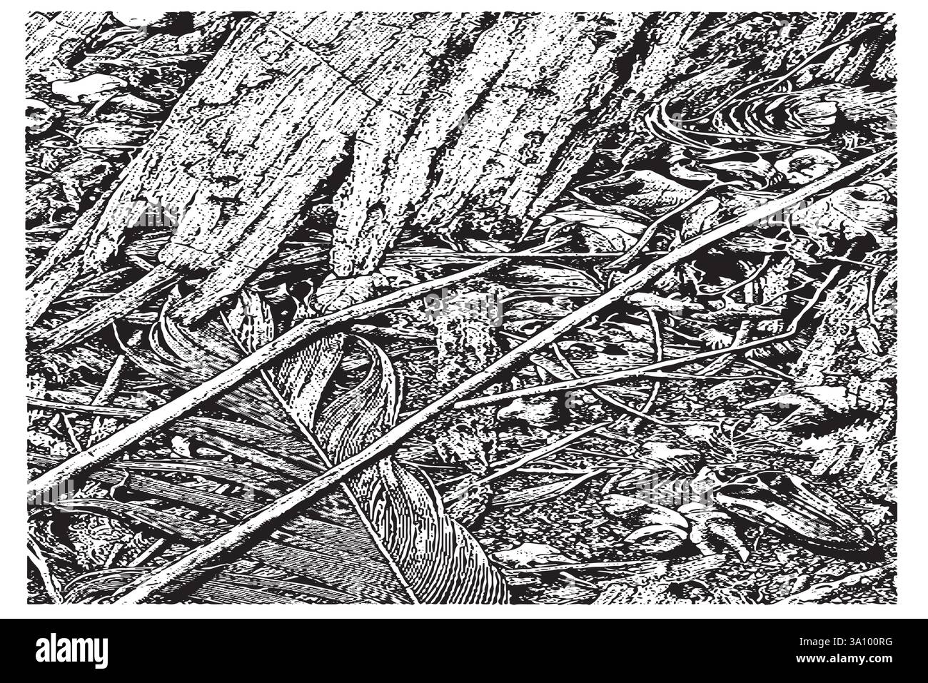 Black and white wood background Stock Vector Image & Art - Alamy