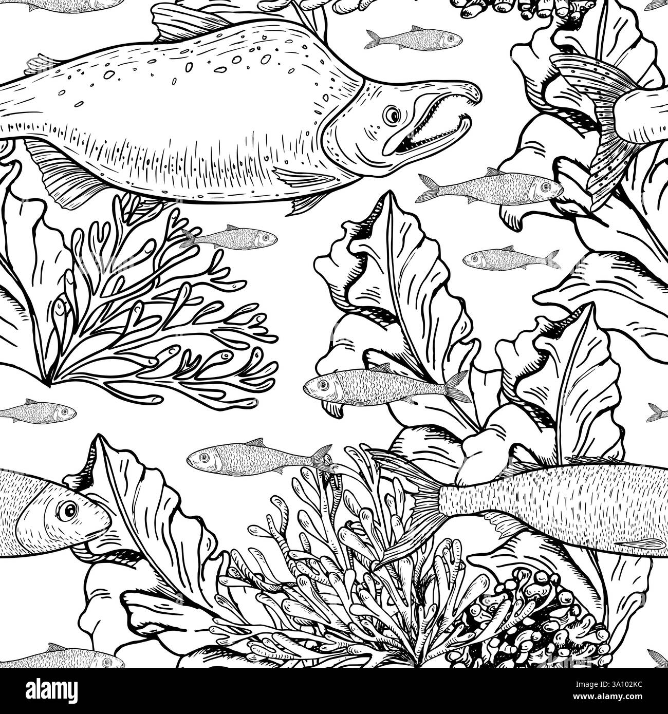 Seabed vector seamless pattern sockeye fish, seaweed, and coral hand ...