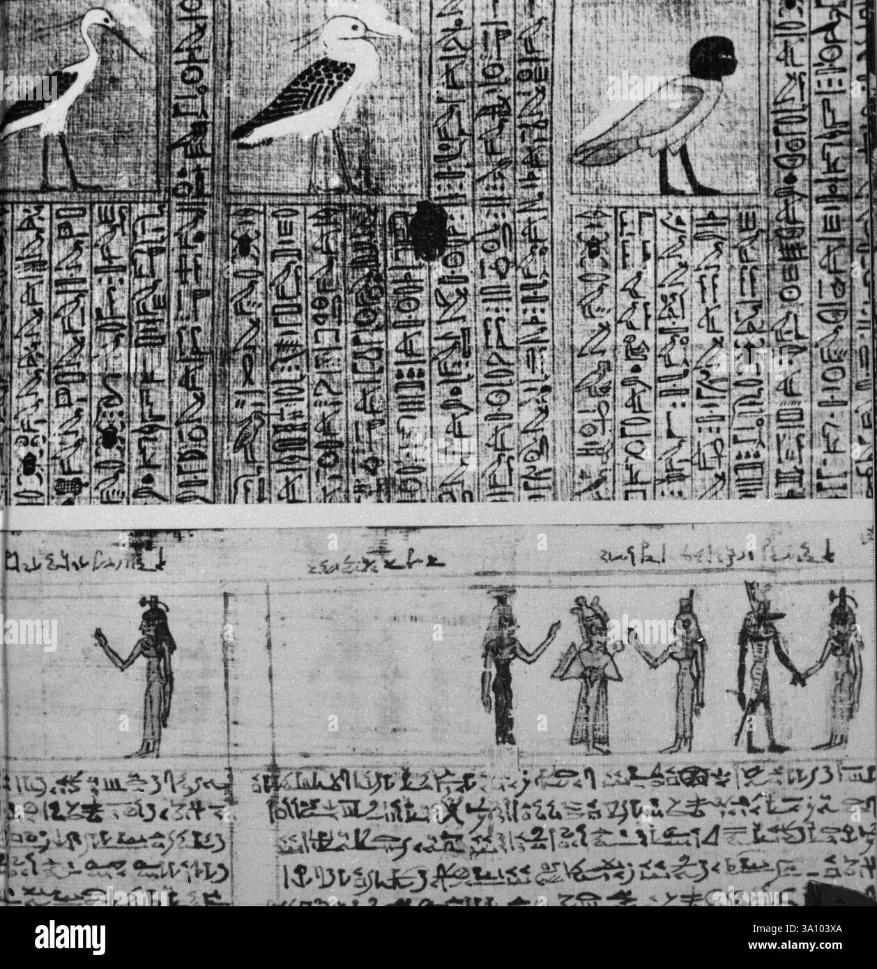 Book of Dead, ancient Egyptian funerary text, 1950s Stock Photo - Alamy