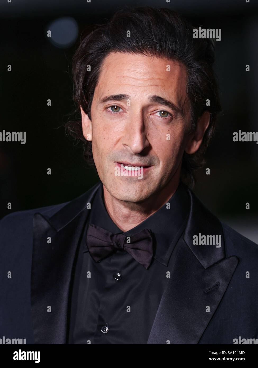 (FILE) Adrien Brody wins Oscar for Best Actor in a Leading Role for ...