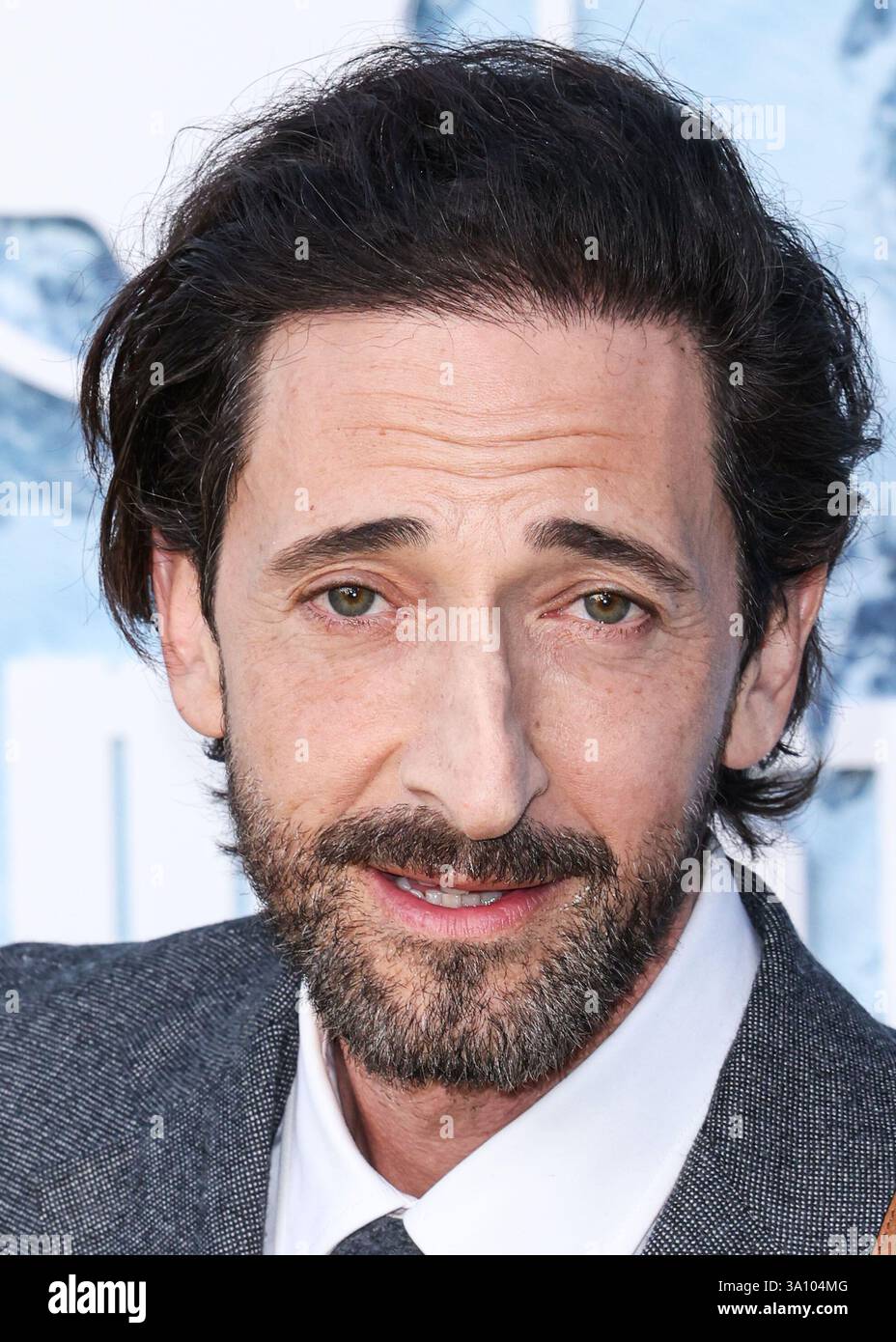 (FILE) Adrien Brody wins Oscar for Best Actor in a Leading Role for ...