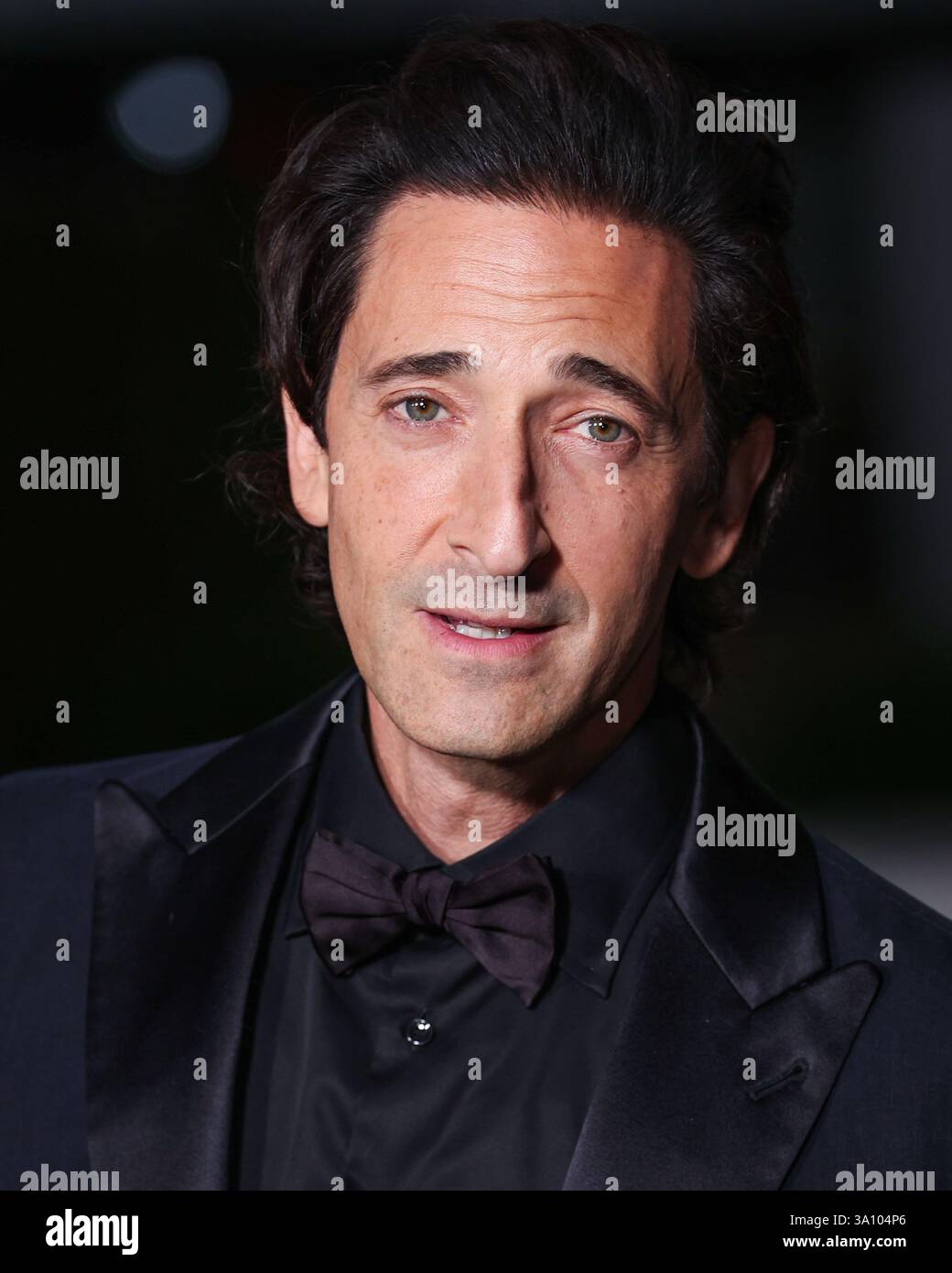 (FILE) Adrien Brody wins Oscar for Best Actor in a Leading Role for ...