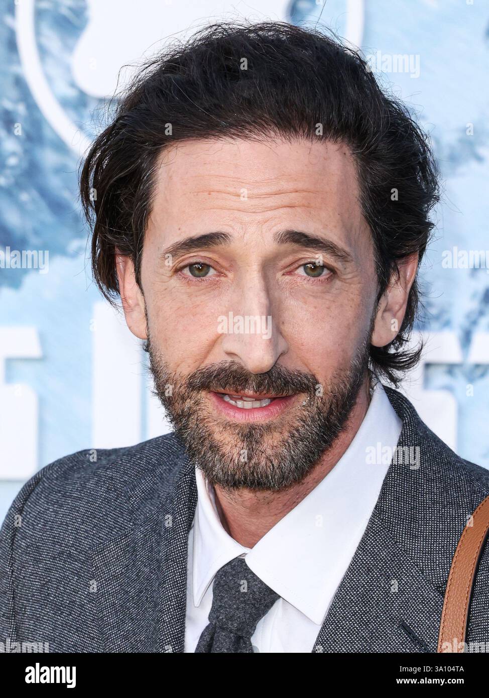 (FILE) Adrien Brody wins Oscar for Best Actor in a Leading Role for ...