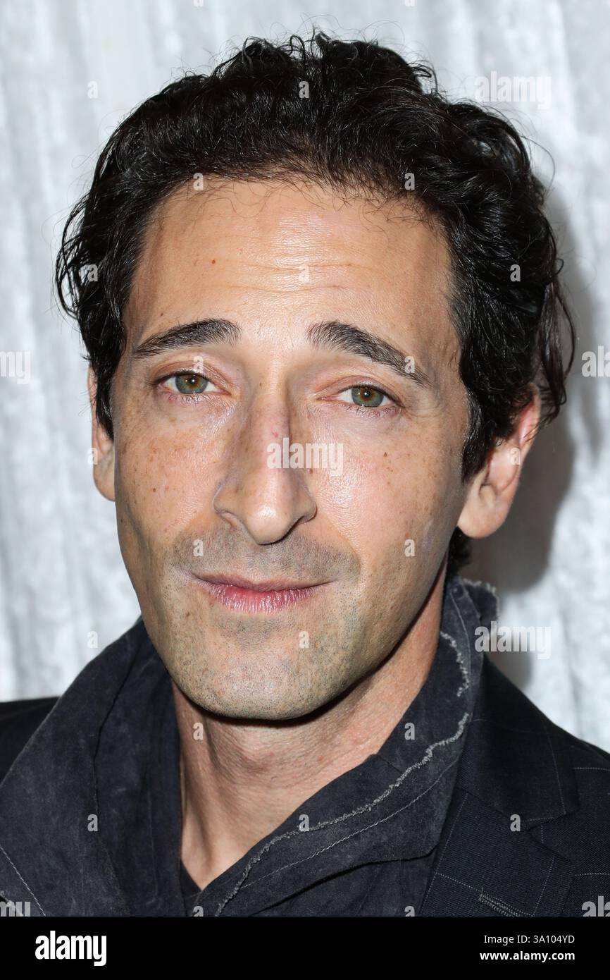(FILE) Adrien Brody wins Oscar for Best Actor in a Leading Role for ...