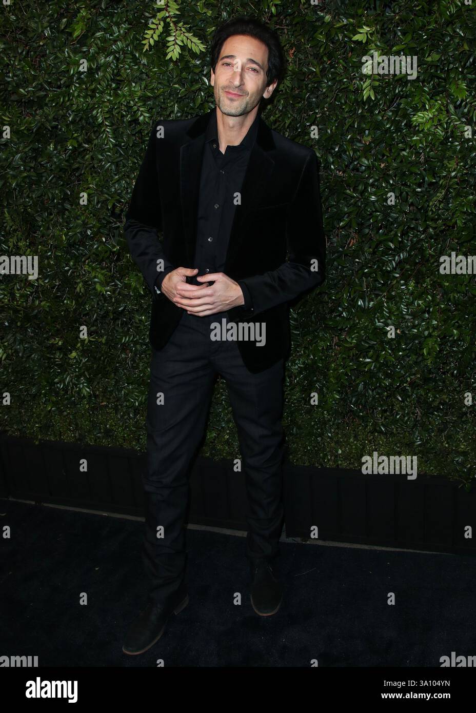 (FILE) Adrien Brody wins Oscar for Best Actor in a Leading Role for ...