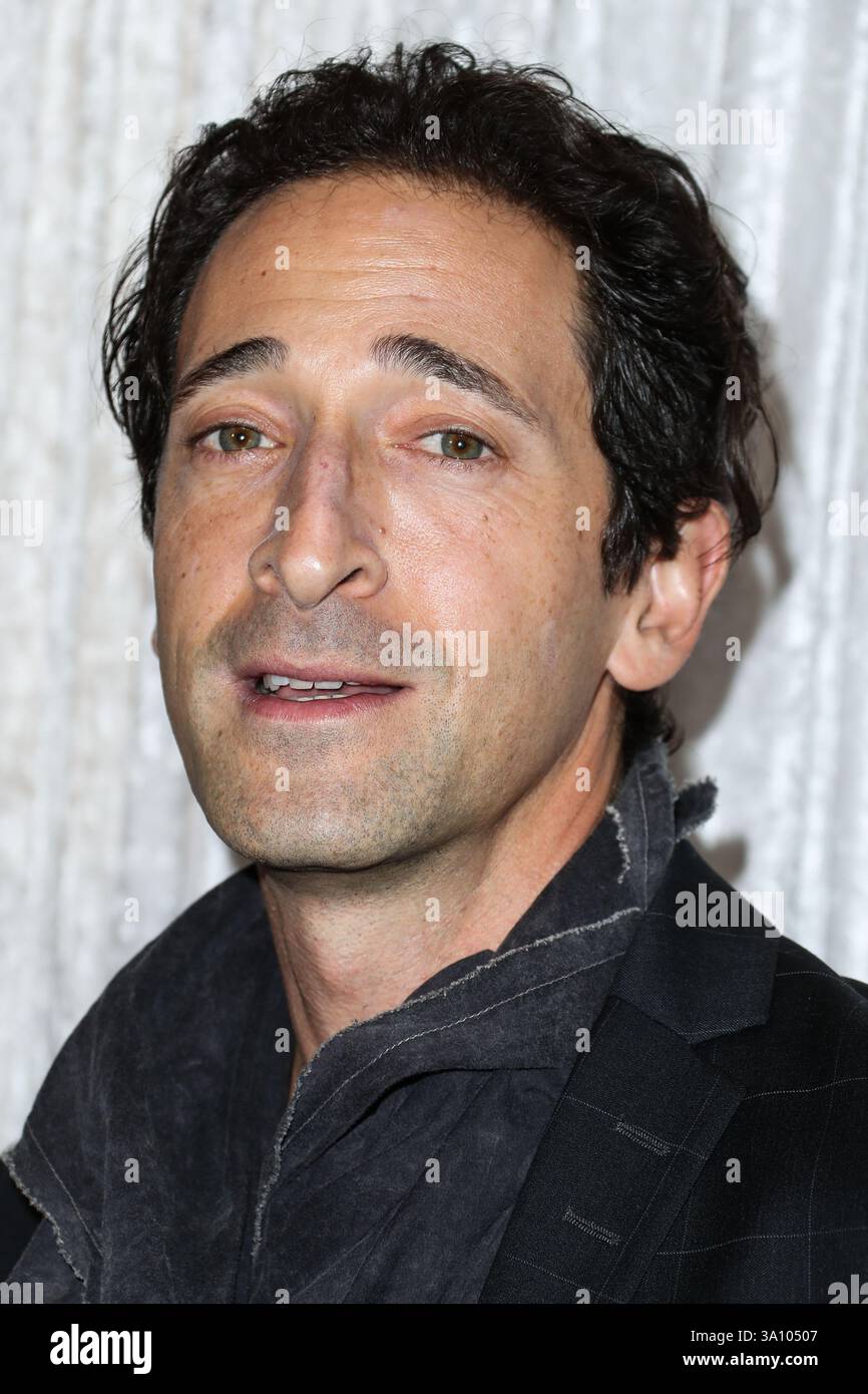 (FILE) Adrien Brody wins Oscar for Best Actor in a Leading Role for ...
