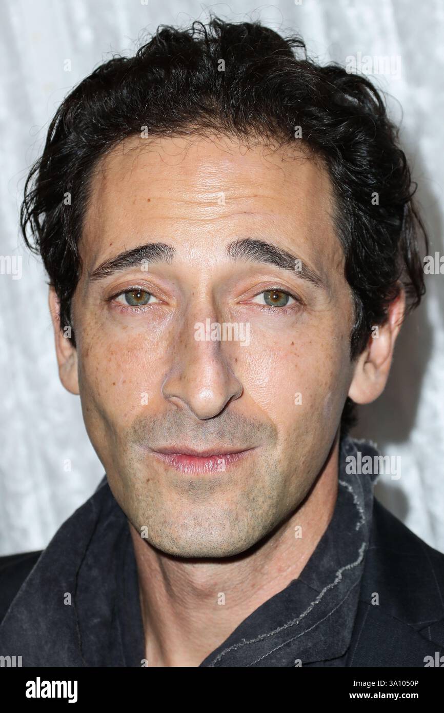 (FILE) Adrien Brody wins Oscar for Best Actor in a Leading Role for ...