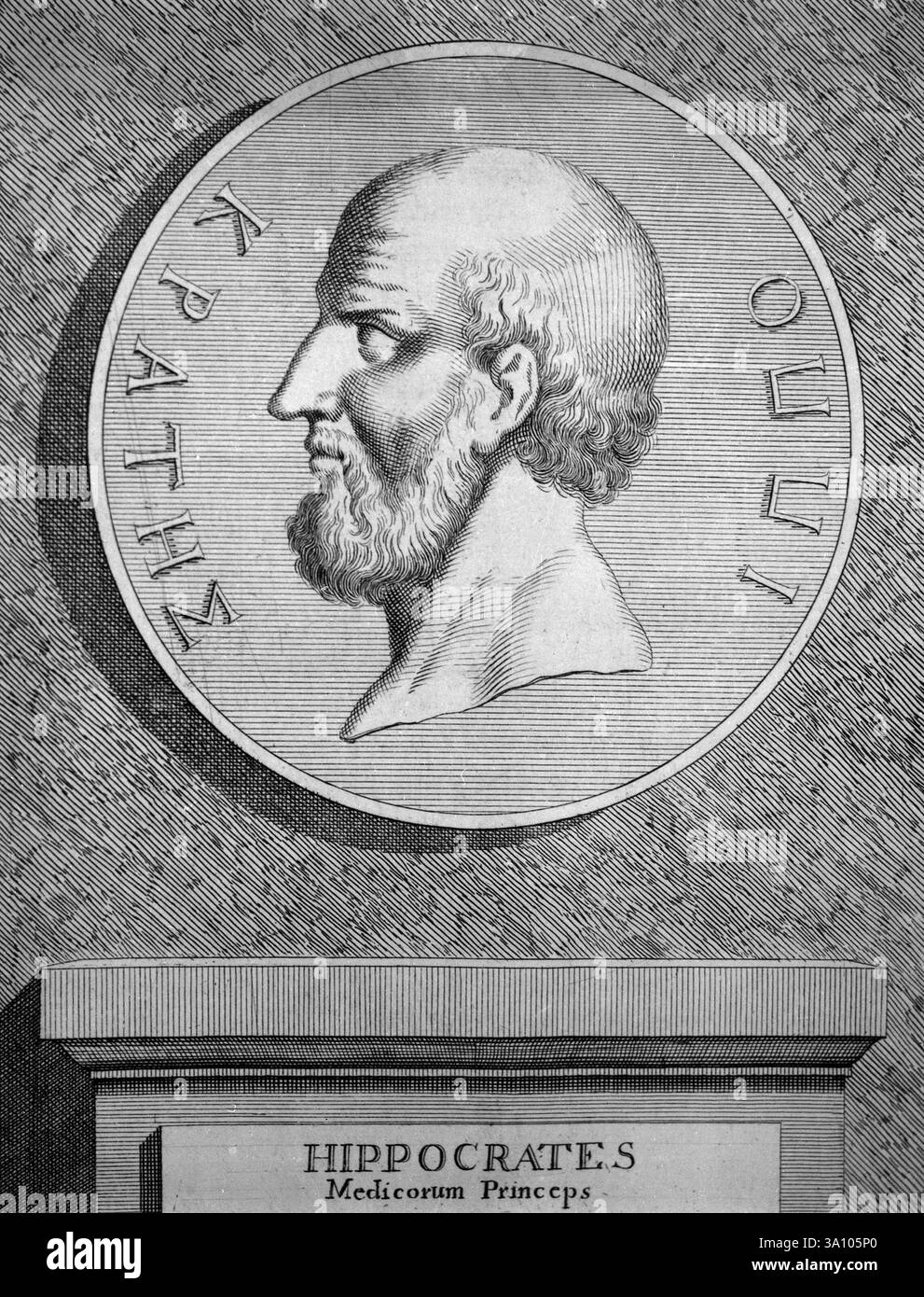 Greek physician and philosopher Hippocrates head, engraving, 1700s ...