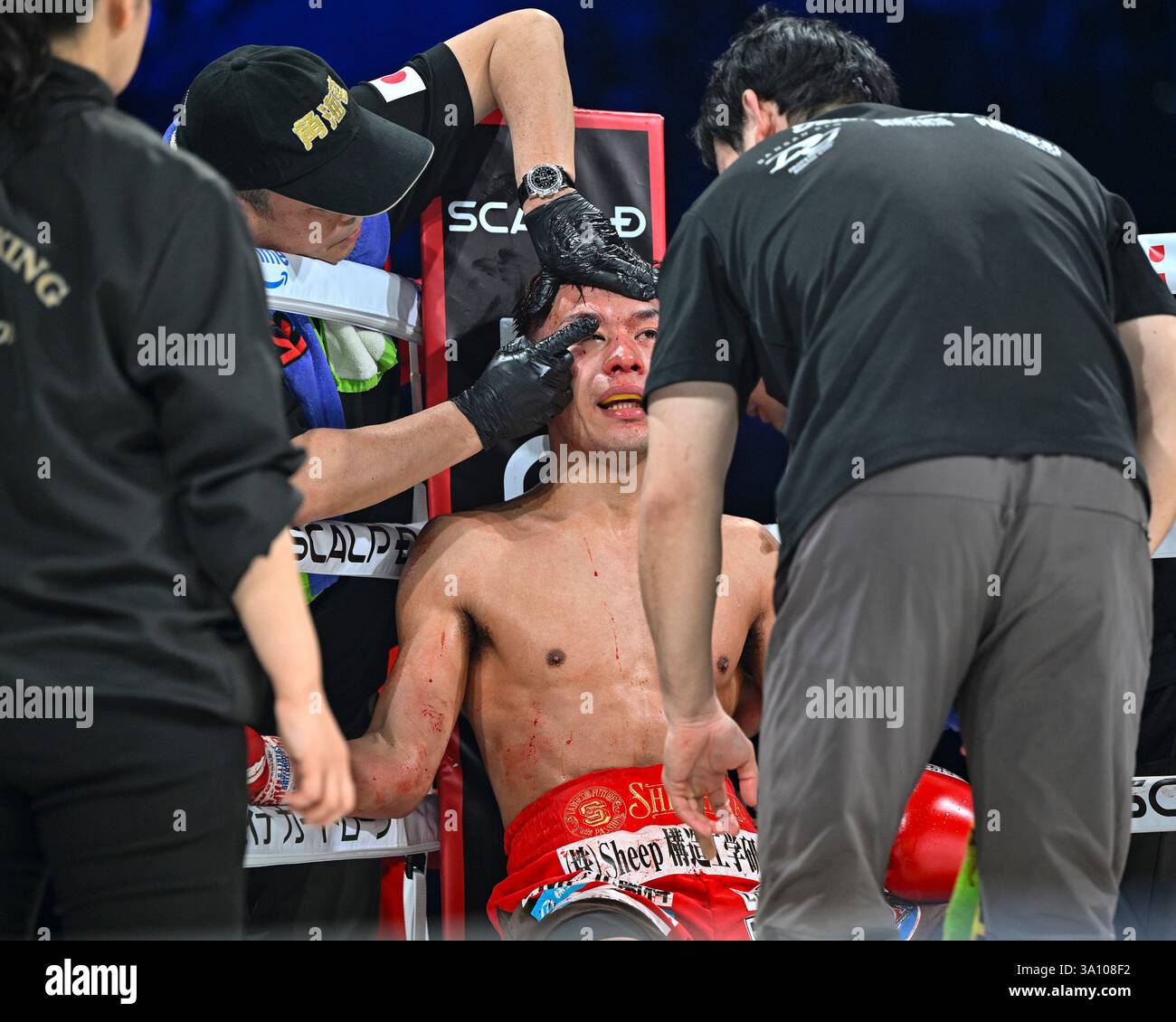 Champion Japan's Seiya Tsutsumi, center, receives treatment to stop ...