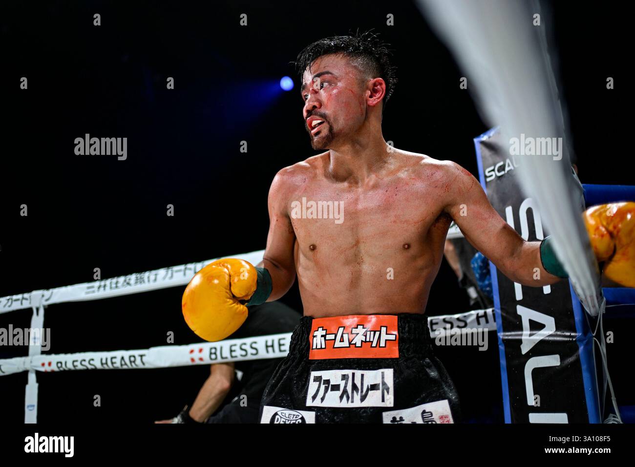 Challenger Japan's Daigo Higa reacts after the ninth round during the WBA Bantamweight title ...