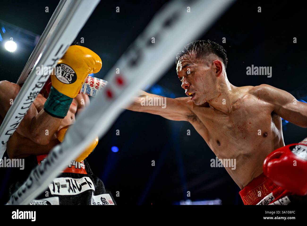 Champion Seiya Tsutsumi (red gloves) hits challenger Daigo Higa (yellow ...