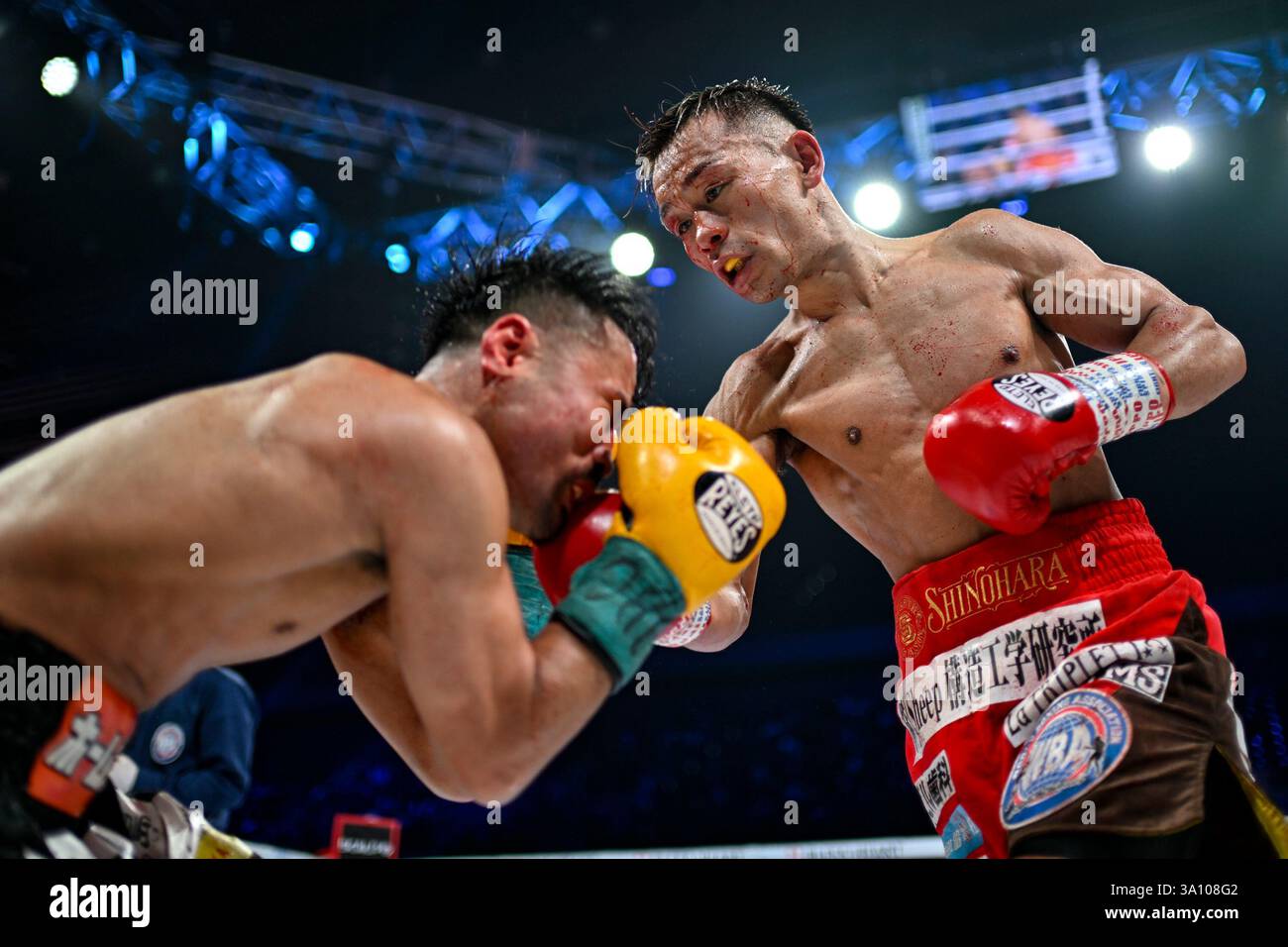 Champion Seiya Tsutsumi (red gloves) hits challenger Daigo Higa (yellow ...
