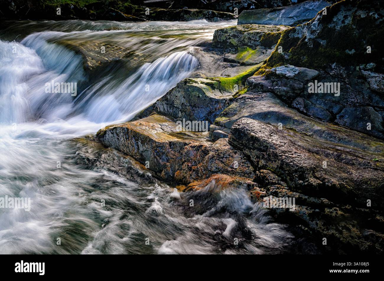 Water cascades softly over rocks, creating a peaceful atmosphere in ...