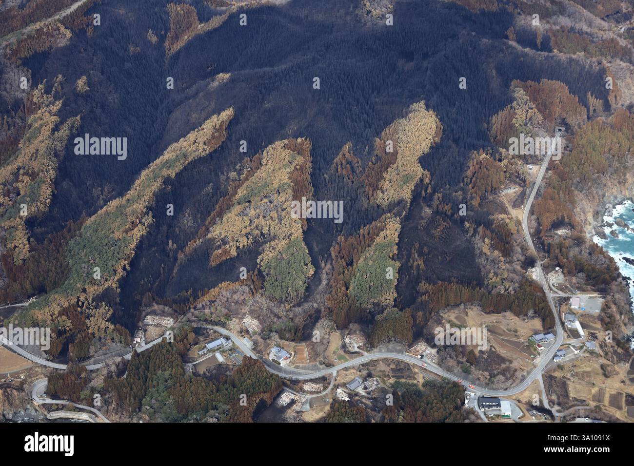 Aerial photo shows the mountain surface scorched black by forest fires ...