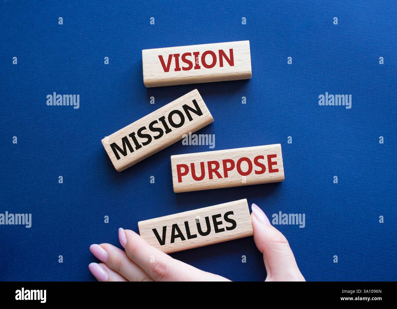 Vision Purpose Mission Values symbol. Concept word Vision Purpose ...