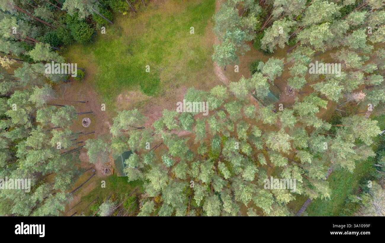 Aerial view of a forest clearing surrounded by dense trees, with ...
