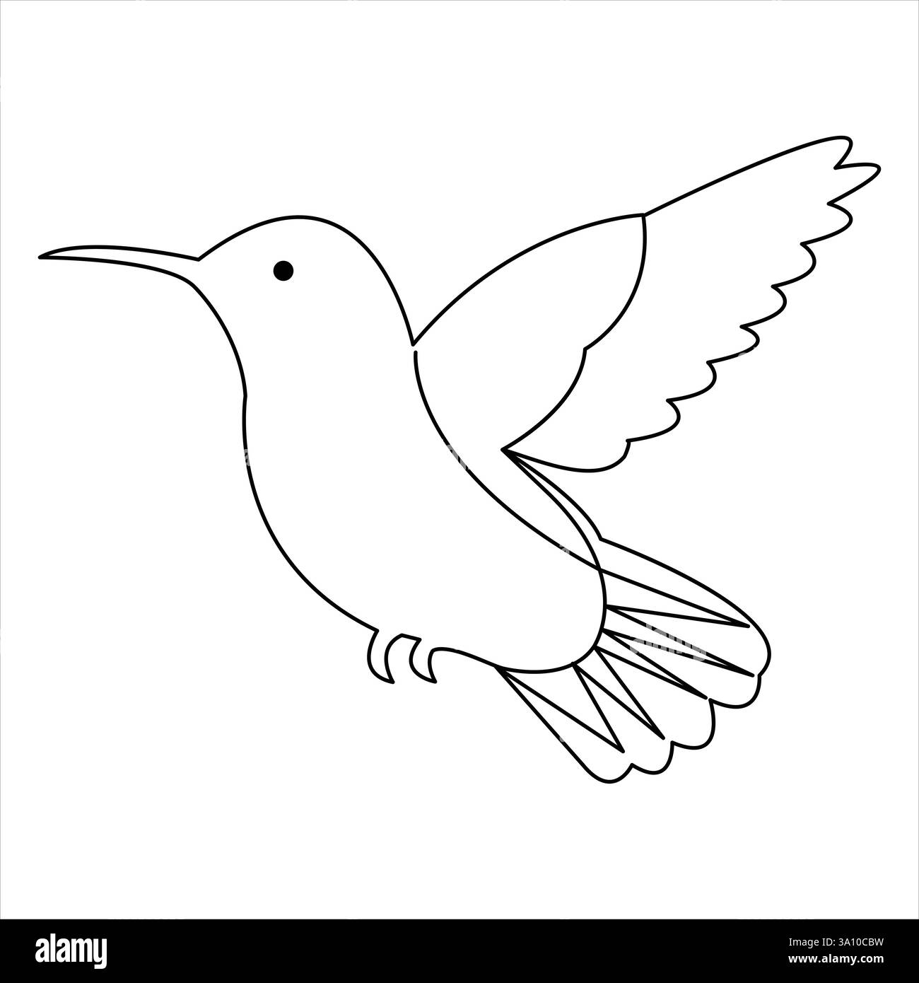 Continuous one line art drawing hummingbird hand drawn outline vector ...