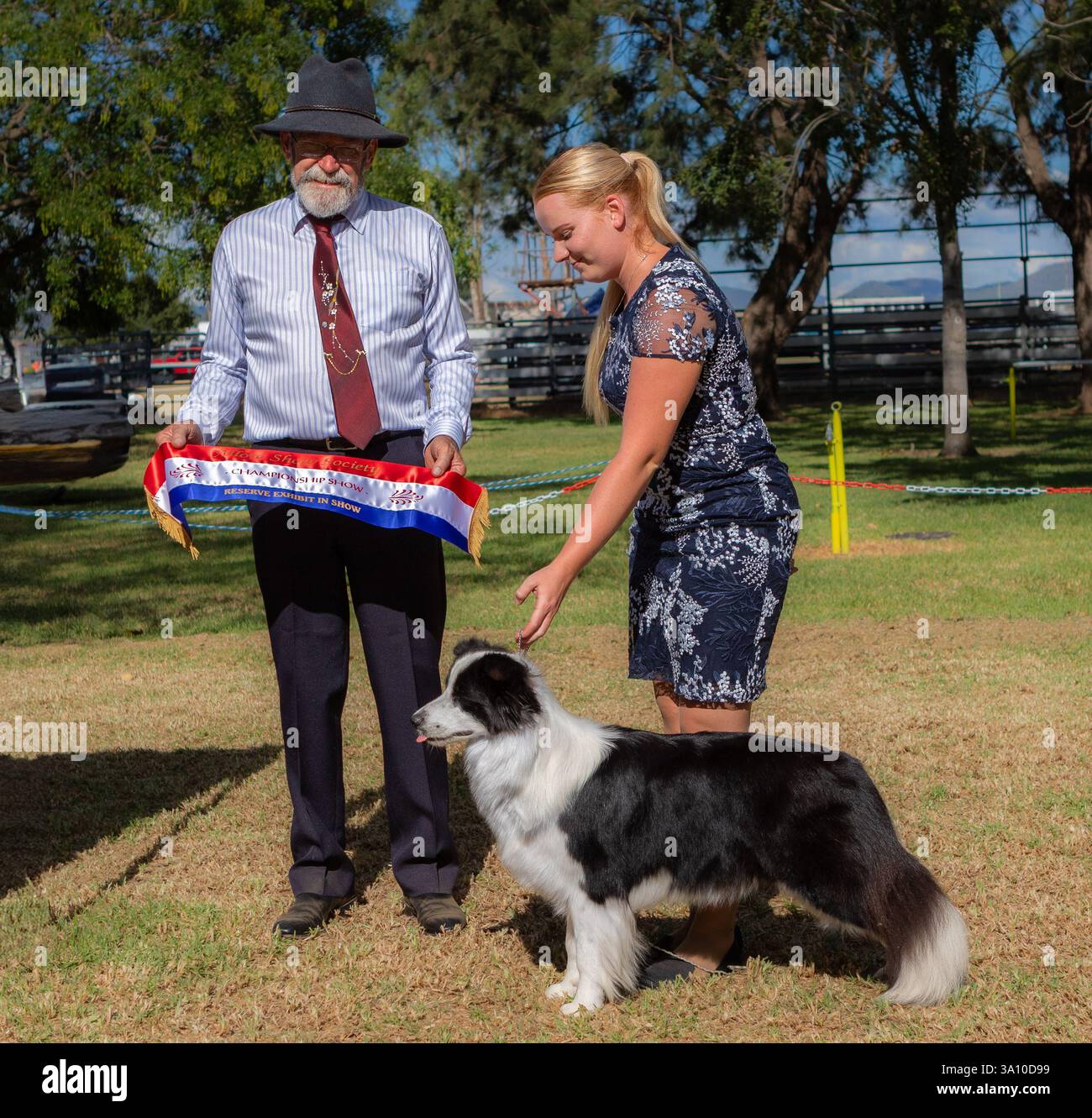 Winners from the Dog Show, 2025 Allora Show Stock Photo - Alamy