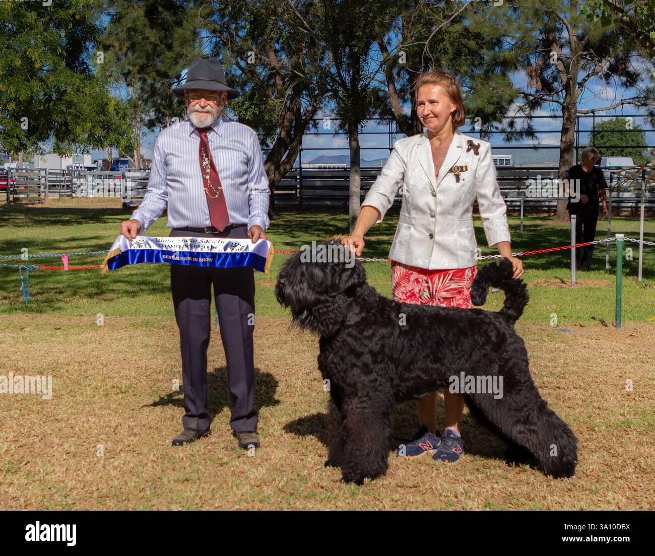 Winners from the Dog Show, 2025 Allora Show Stock Photo - Alamy