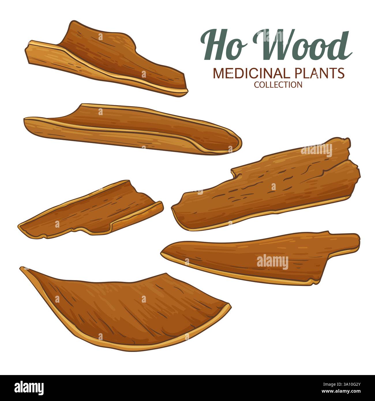 Ho Wood Colored Detailed Illustration Stock Vector Image & Art - Alamy