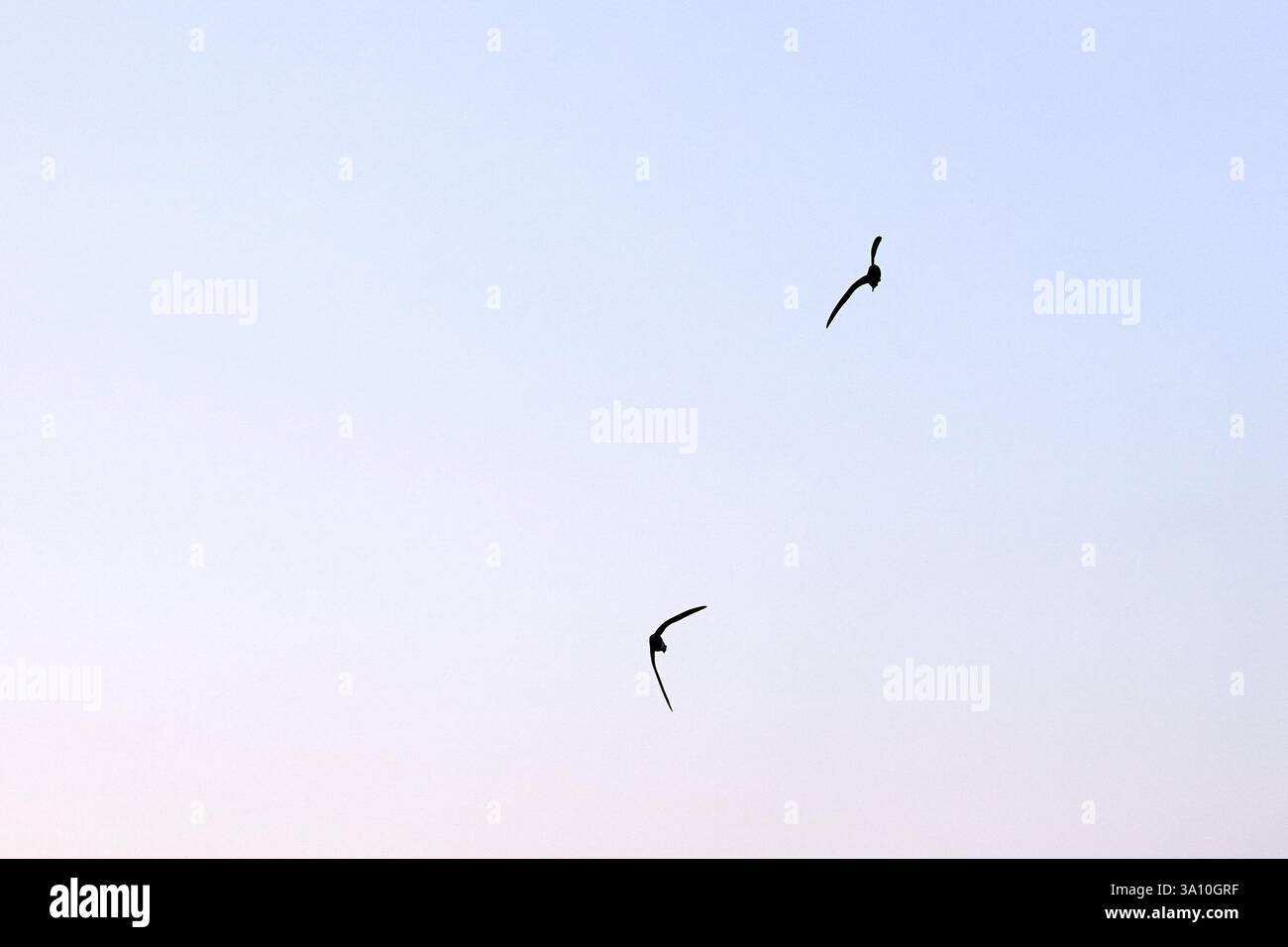 Aerial drone flying in wide hi-res stock photography and images - Alamy