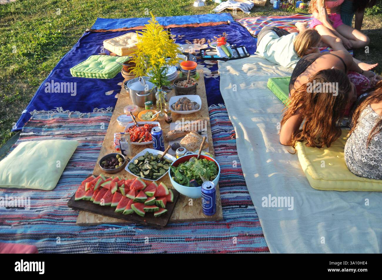 an outdoor picnic in summer, eating food in the sun an outdoor picnic ...