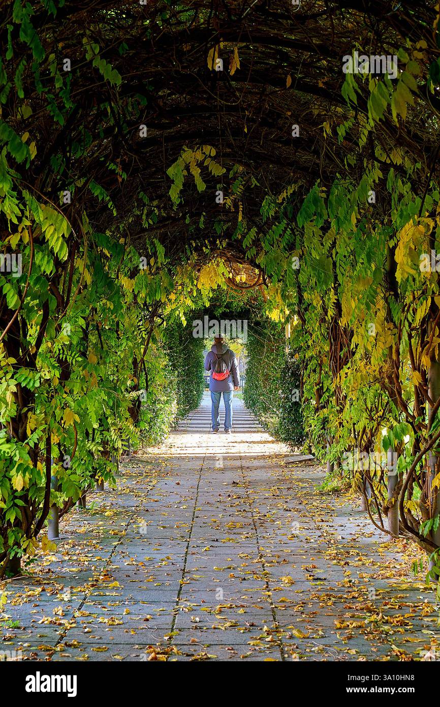 A vertical back view of a person with a backpack standing in a path ...