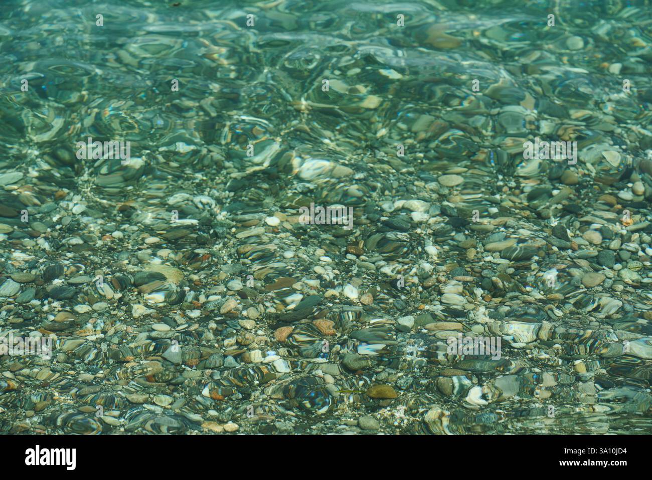 Clear water with visible pebbles on the bottom of a shallow beach in ...