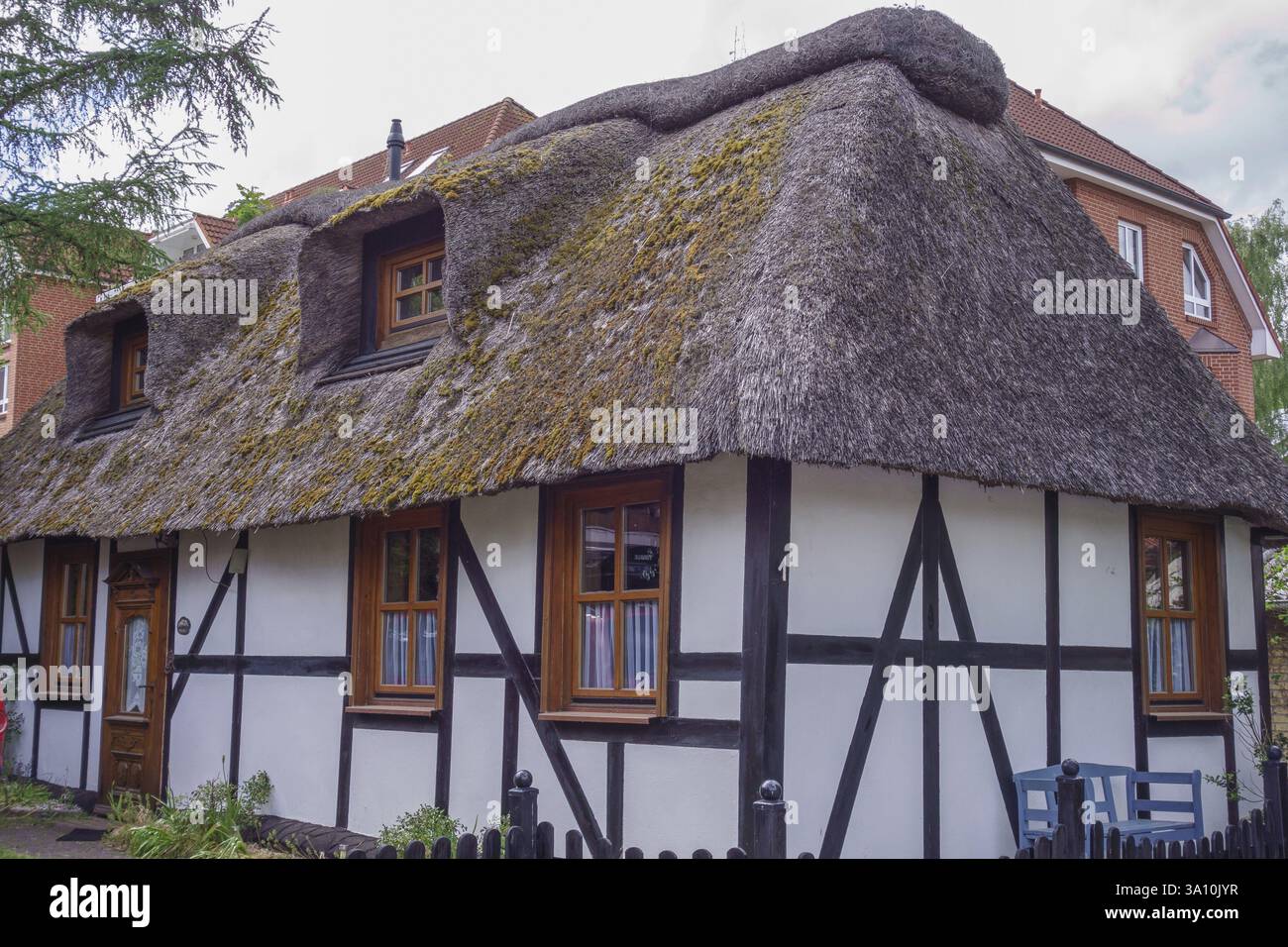 Traditional half-timbered house with thatched roof and moss-covered ...
