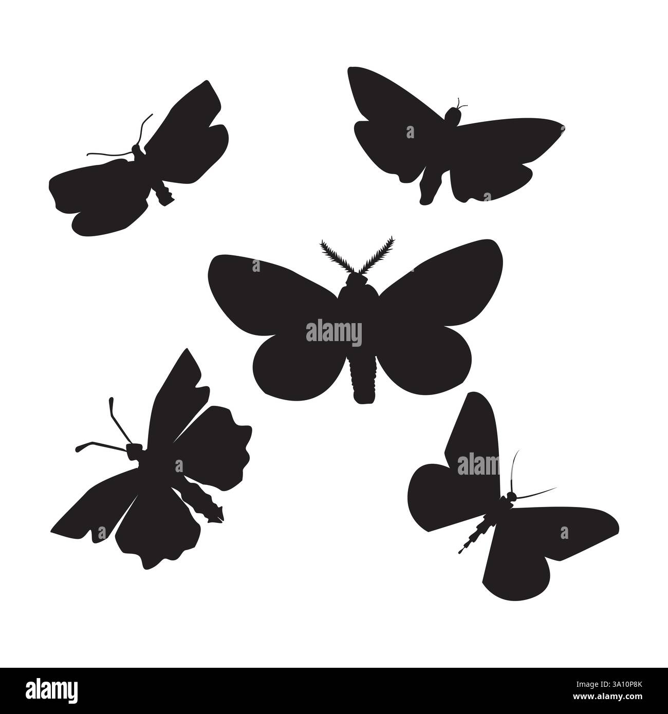 Butterfly silhouette set. Simple shape collection of butterflies ...