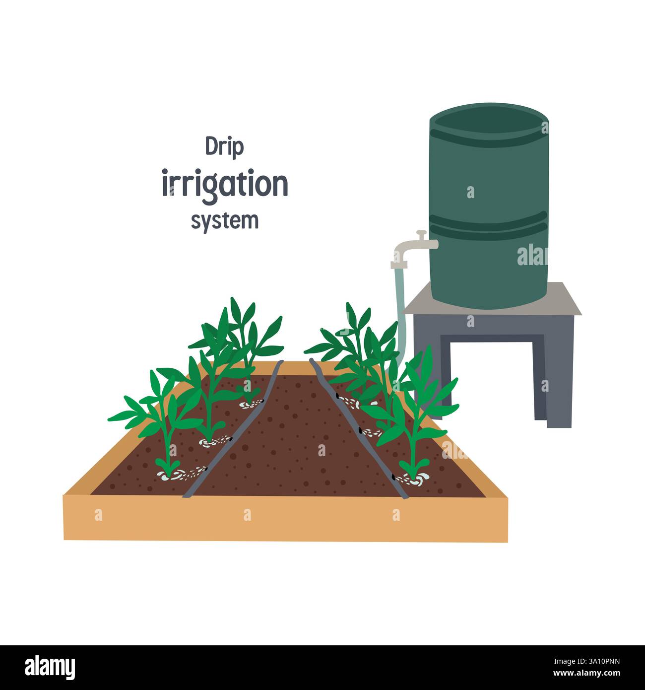 Watering garden using sprinkler system hi-res stock photography and images - Alamy