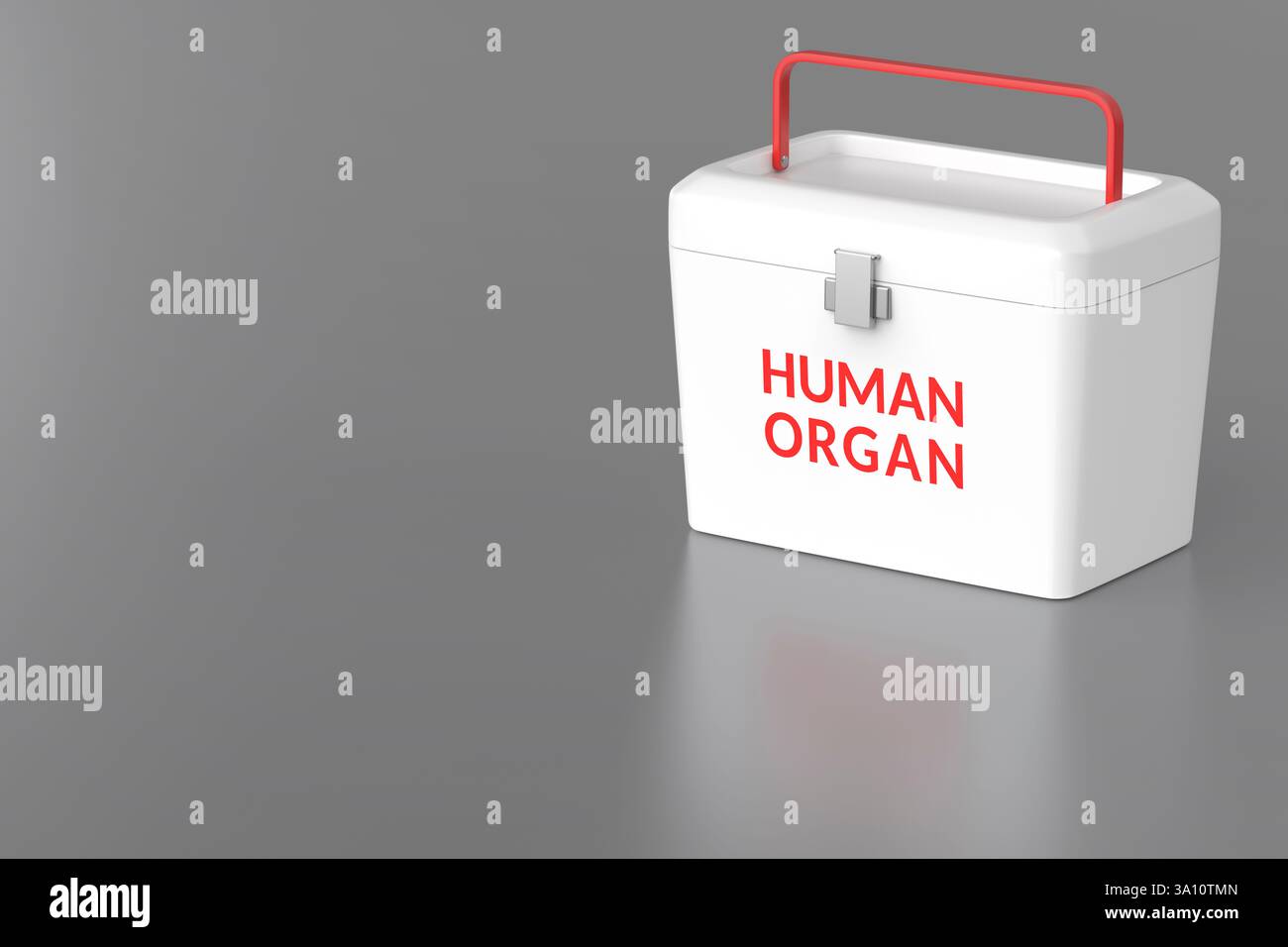 Human organ transport box on grey background Stock Photo - Alamy
