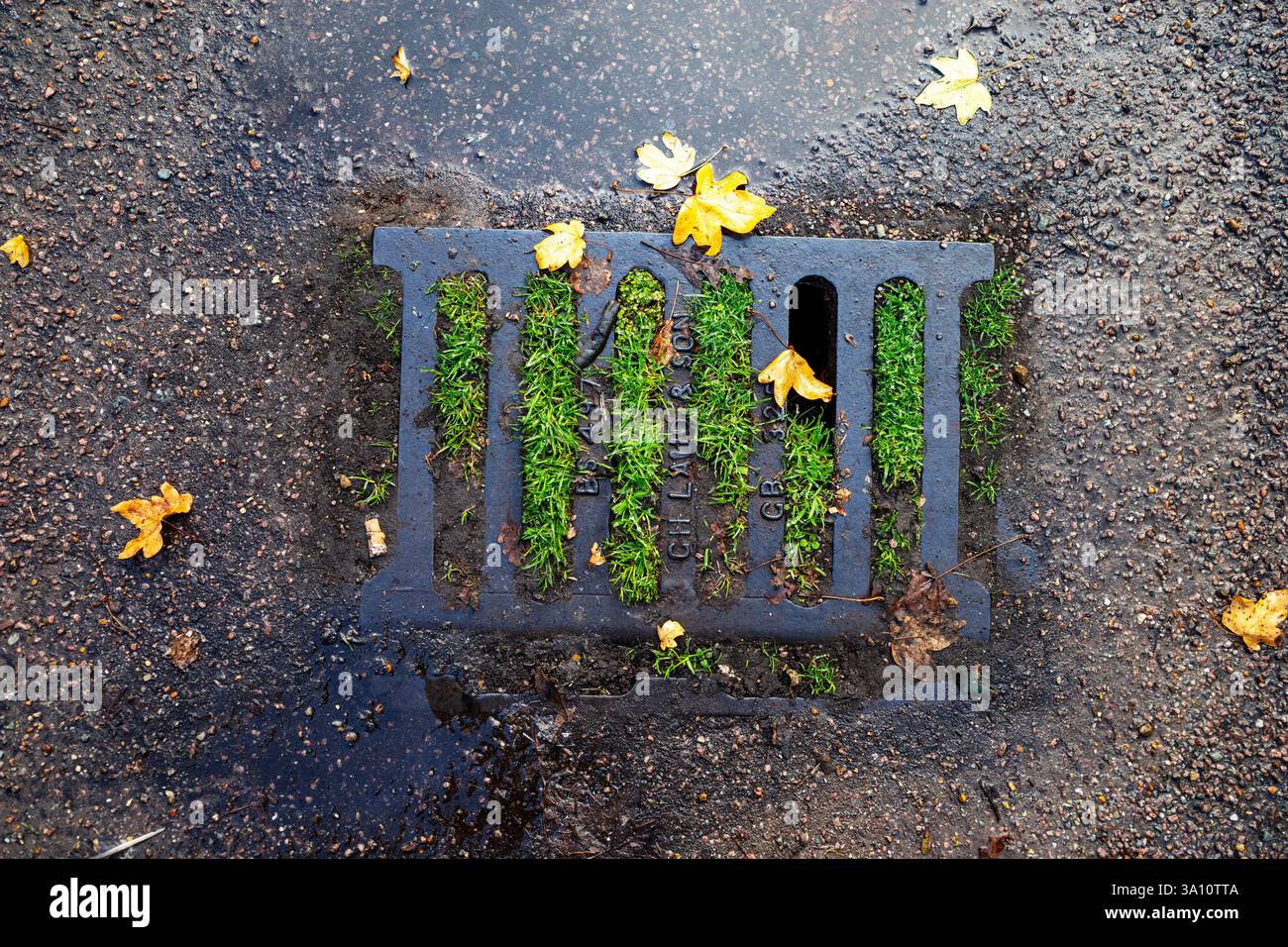 Blocked road drain Stock Photo - Alamy
