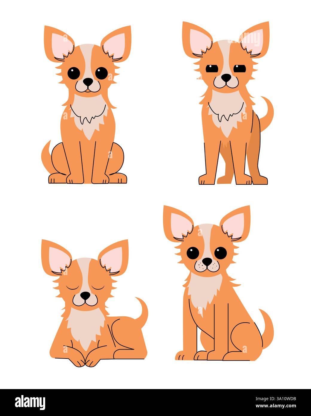 Set of Cute Long Haired Chihuahua Dog Poses Sitting, Standing, Lying ...