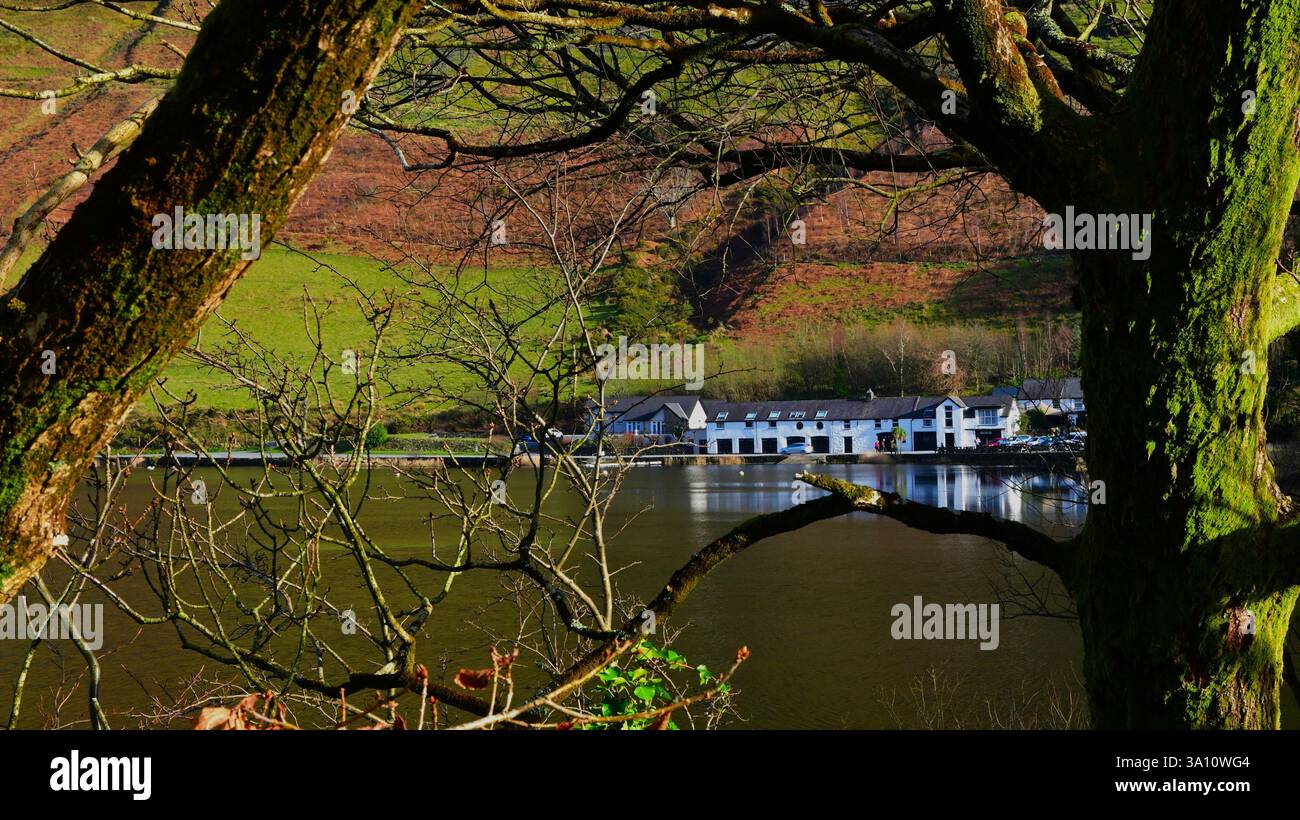 Tal-y-llyn Lake / Llyn Mwyngil below Cadair Idris in the Eryri National ...