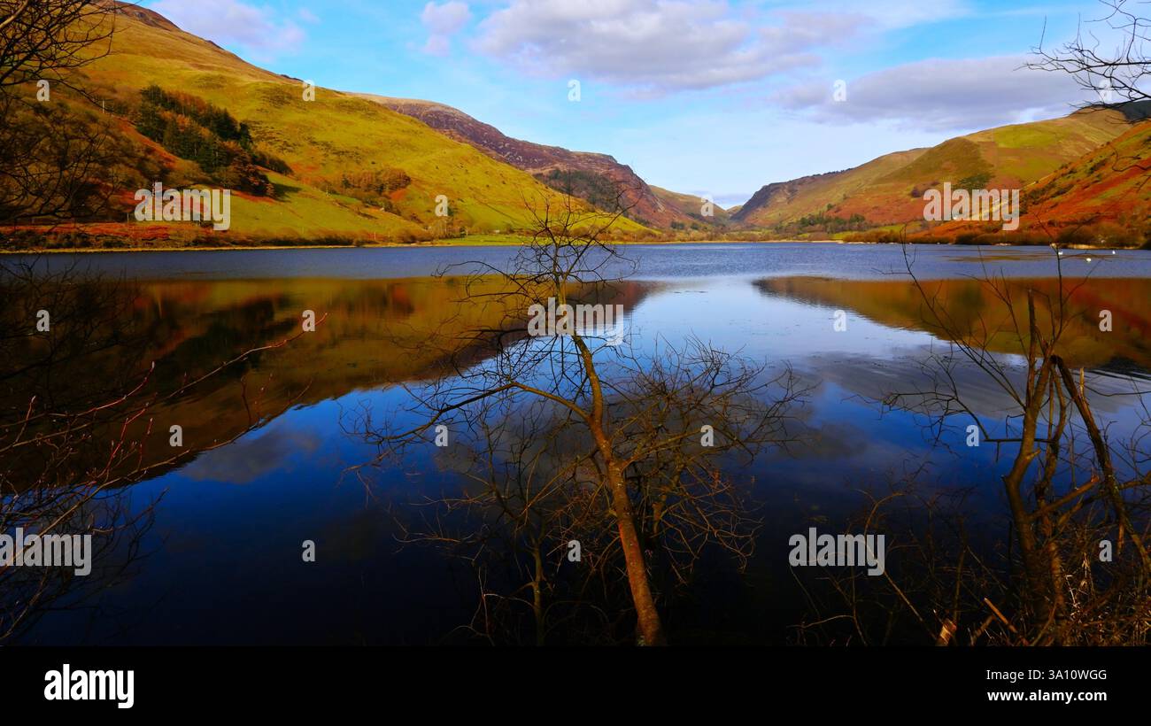 Tal-y-llyn Lake / Llyn Mwyngil below Cadair Idris in the Eryri National ...